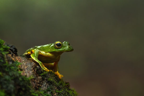 RETRANCHEMENT - WAT TE DOEN - BEZIENSWAARDIGHEDEN