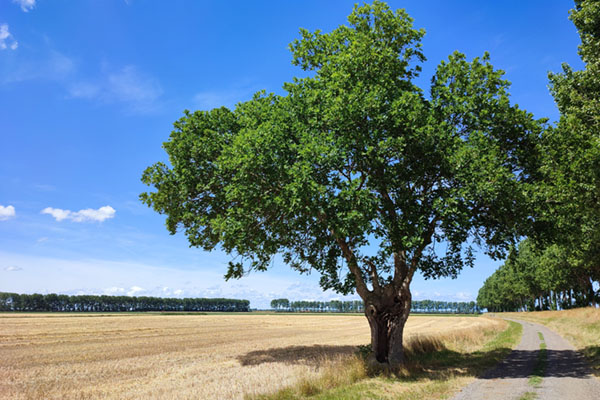 RETRANCHEMENT - WAT TE DOEN - BEZIENSWAARDIGHEDEN