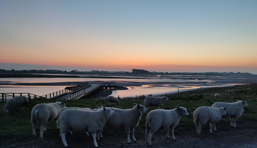 RETRANCHEMENT - WAT TE DOEN - BEZIENSWAARDIGHEDEN